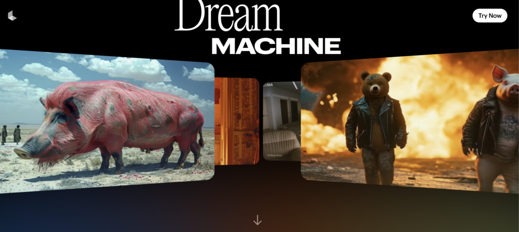 Lumaの詳細解説：Luma Pixel、Luma Correction、Luma Histogram、Luma Range、Luma ...